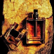 Dior Homme 2005 Dior cologne - a fragrance for men 2005