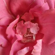 Cabotine Rose Grès perfume - a fragrance for women 2003