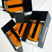 Dior Homme Parfum Dior cologne - a fragrance for men 2014