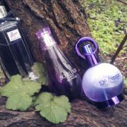 So Elixir Purple Eau de Parfum Yves Rocher perfume - a fragrance for ...