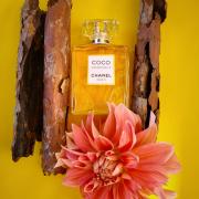 Coco Mademoiselle Intense Chanel perfume - a fragrance for women 2018