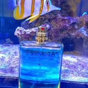 Into the Blue Escada perfume - a fragrance for women 2006
