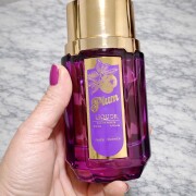 Plum Liquor PARIS CORNER perfume - a new fragrance for women and men 2025