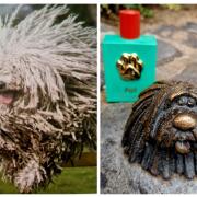 Fefé Dolce&Gabbana perfume - a new fragrance for women and men 2024