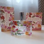 Eglantine Fragonard perfume - a fragrance for women 2022