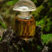 Rare Gold Avon perfume - a fragrance for women 1995