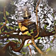 Coco Eau de Parfum Chanel - una fragranza da donna 1984