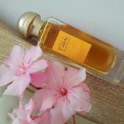 Caleche Hermès perfume - a fragrance for women 1961