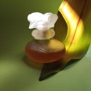 Kenzo Kenzo perfume - a fragrance for women 1988