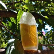 Kenzo Kenzo perfume - a fragrance for women 1988