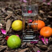 3 AM Sean John cologne - a fragrance for men 2015