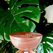 Monstera Xinú perfume - a fragrance for women and men 2017