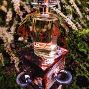 Love Diane Diane von Furstenberg perfume - a fragrance for women 2012