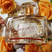 Intuition for Men Estée Lauder cologne - a fragrance for men 2003