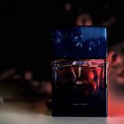 Red Sora Dora perfume - a new fragrance for women and men 2024