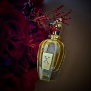 Via Cavour I Xerjoff perfume - a fragrance for women and men 2017