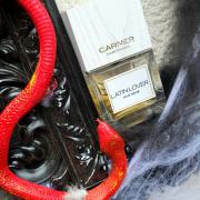 Latin Lover Carner Barcelona perfume - a fragrance for women and men 2017