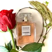 Coco Mademoiselle Intense Chanel perfume - a fragrance for women 2018