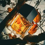 M7 Yves Saint Laurent cologne - a fragrance for men 2002