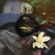 Izia La Nuit Sisley perfume - a fragrance for women 2021