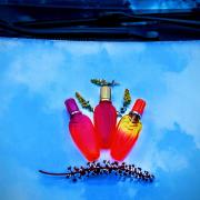 Sunset Heat Escada perfume - a fragrance for women 2007