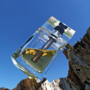 Dior Homme 2005 Dior cologne - a fragrance for men 2005
