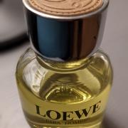 Loewe Pour Homme Loewe cologne - a fragrance for men 1974