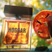 Hoggar Yves Rocher cologne - a fragrance for men 2005