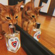 Exit The King Etat Libre d'Orange perfume - a fragrance for women and ...