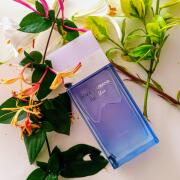 Light Blue Love in Capri Dolce&Gabbana perfume - a fragrance for women 2016