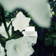 White Touch Franck Olivier perfume - a fragrance for women