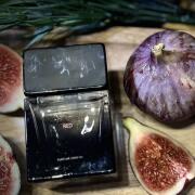 Red Sora Dora perfume - a new fragrance for women and men 2024