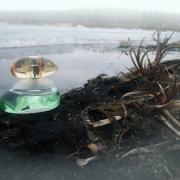 Elvie Oriflame perfume - a fragrance for women