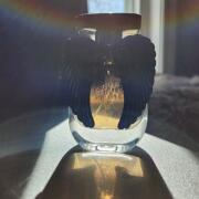 Dark Angel Victoria's Secret perfume - a fragrance for women 2015