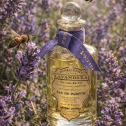 Lavandula Penhaligon's аромат — аромат для мужчин и женщин 2002