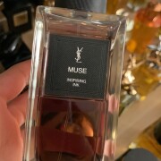 Muse Yves Saint Laurent perfume - a new fragrance for women and men 2025