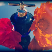 Vivid Parfum Liz Claiborne perfume - a fragrance for women 1993