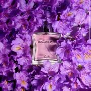 Daarej pour Femme Rasasi perfume - a fragrance for women
