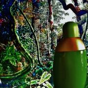 Eden Cacharel perfume - a fragrance for women 1994