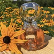 Bijan Bijan perfume - a fragrance for women 1986