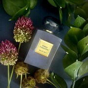 Indigo Tanzanite Giorgio Armani perfume - a fragrance for women and men ...