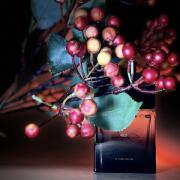 Red Sora Dora perfume - a new fragrance for women and men 2024