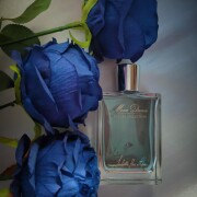 Moon Dance Juliette Has A Gun perfume - a fragrance for women 2014
