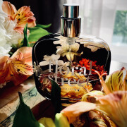 Wild Vanilla Orchid Floral Street perfume - a fragrance for women and ...