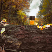 M7 Yves Saint Laurent cologne - a fragrance for men 2002