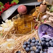 Rauque Roberto Greco perfume - a fragrance for women and men 2023