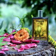 Calandre Rabanne perfume - a fragrance for women 1969