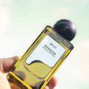 Zencha Hint perfume - a new fragrance for women and men 2024