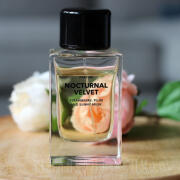 Nocturnal Velvet Zara perfume - a new fragrance for women 2024