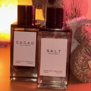 Salt Fragrance World cologne - a new fragrance for men 2023